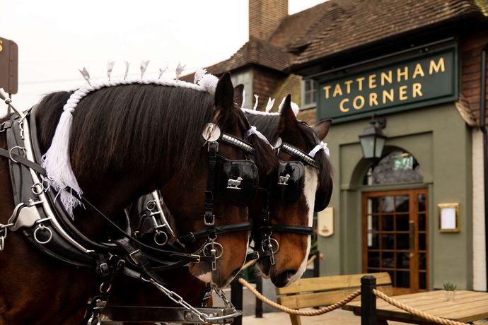 Tattenham Corner Pub | Unrivalled Views of Epsom Racecourse